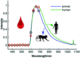 Optimal wavelength selection for visible diffuse reflectance ...
