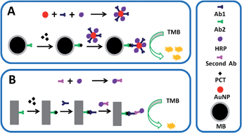 An ultrasensitive ELISA method for the detection of procalcitonin based ...