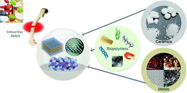 Composite biopolymers for bone regeneration enhancement in bony defects ...