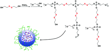 PEGylated hyperbranched polyphosphoester based nanocarriers for redox ...