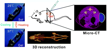 An injectable thermogel with high radiopacity - Chemical Communications ...