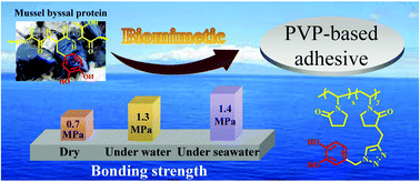 A mussel-inspired adhesive with stronger bonding strength under ...