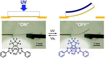 Photoreversible current ON/OFF switching by the photoinduced bending of ...