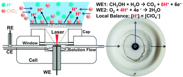 In situ Raman spectroscopic measurement of near-surface proton ...