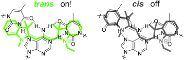 Triple helix conformation-specific blinking of Cy3 in DNA - Chemical ...