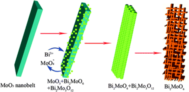 Hierarchical Bi2MoO6 nanosheet-built frameworks with excellent ...
