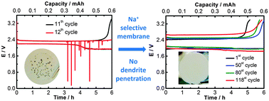 Investigating dendrites and side reactions in sodium–oxygen batteries ...