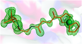 Antibacterial properties and atomic resolution X-ray complex crystal ...