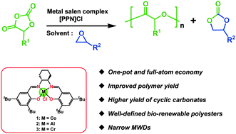 One-pot atom-efficient synthesis of bio-renewable polyesters and cyclic ...