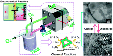Dual redox catalysts for oxygen reduction and evolution reactions ...