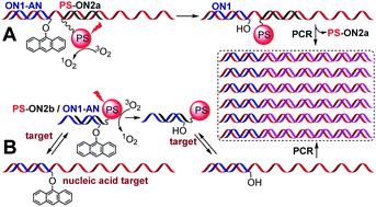 Red light-controlled polymerase chain reaction - Chemical ...