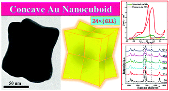 Synthesis of concave gold nanocuboids with high-index facets and their ...