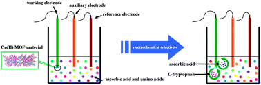 Metal–organic framework biosensor with high stability and selectivity ...
