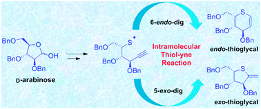 Intramolecular thiol–yne cyclisation as a novel strategy for thioglycal ...