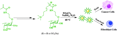 Synthesis and anticancer properties of fucoidan-mimetic glycopolymer ...