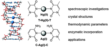 Structures, physicochemical properties, and applications of T–HgII–T, C ...