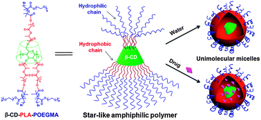 Unimolecular micelles of amphiphilic cyclodextrin-core star-like block copolymers for anticancer ...