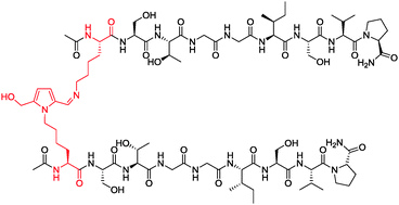 On resin synthesis and cross-linking of collagen peptides containing ...