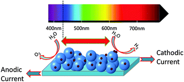 Wavelength-switchable photocurrent in a hybrid TiO2–Ag nanocluster ...