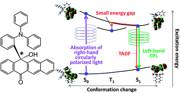 Thermally activated delayed fluorescence with circularly polarized ...