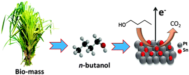 Development of a PtSn bimetallic catalyst for direct fuel cells using ...