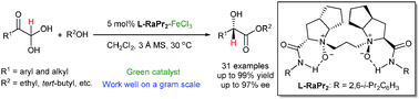 Chiral N,N′-dioxide–FeCl3 complex-catalyzed asymmetric intramolecular ...