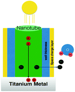 TiO2 nanotubes with ultrathin walls for enhanced water splitting ...