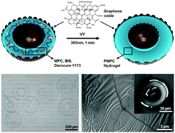 One-pot microfluidic fabrication of graphene oxide-patched hollow ...