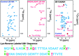 Nano-mole scale sequential signal assignment by 1H-detected protein ...