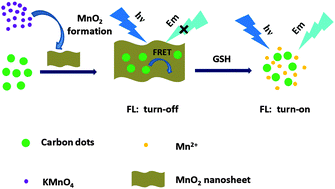 A FRET-based carbon dot–MnO2 nanosheet architecture for glutathione ...