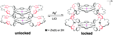 Control of the cavity size of flexible covalent cages by silver ...