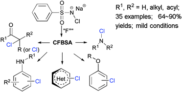 CFBSA: a novel and practical chlorinating reagent - Chemical ...