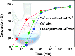 Insights into relevant mechanistic aspects about the induction period ...