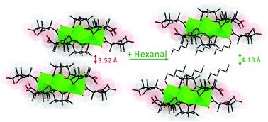 Pb3[C6(CH3)3(CO2)3H6]2[DMF]3: first layered Pb-Kemp's triacid complex ...