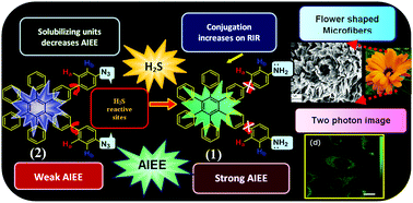 A hexaphenylbenzene based AIEE active two photon probe for the ...