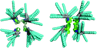 Bundle-forming α-helical peptide–dendron hybrid - Chemical ...