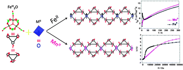 Divalent metal ions modulated strong frustrated M(ii)–Fe(iii)3O (M = Fe ...
