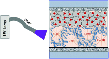 Direct light-induced polymerization of cobalt-based redox shuttles: an ...