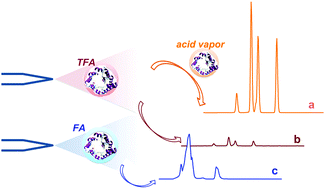 Enhancing the performance of LC-MS for intact protein analysis by ...