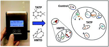 Differentiation among peroxide explosives with an optoelectronic nose ...
