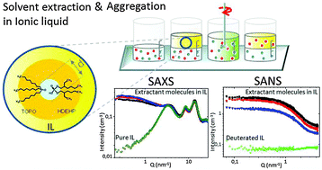 Ionic liquids as diluents in solvent extraction: first evidence of ...