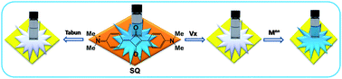 Chromogenic and fluorogenic detection and discrimination of nerve ...