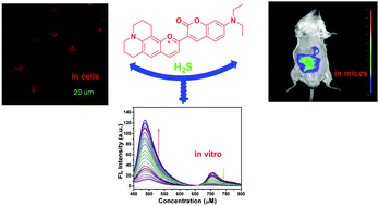 A fluorescent probe for H2S in vivo with fast response and high ...