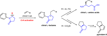 Enantioselective sp3 C–H alkylation of γ-butyrolactam by a chiral Ir(i ...