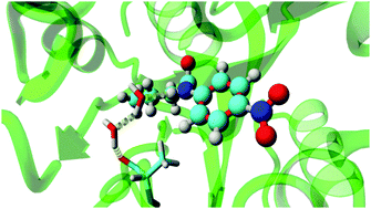 Exploring water as building bricks in enzyme engineering - Chemical ...