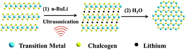 Rapid preparation of single-layer transition metal dichalcogenide nanosheets via ultrasonication ...
