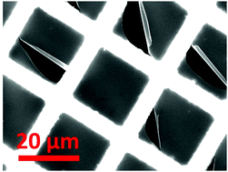 Two-dimensional polymers: concepts and perspectives - Chemical ...