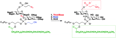 Synthesis of glycosylphosphatidylinositol (GPI)-anchor glycolipids ...