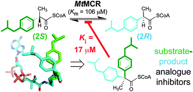 Rational design and synthesis of substrate–product analogue inhibitors ...