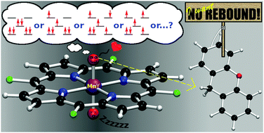 A theoretical study into a trans-dioxo MnV porphyrin complex that does ...